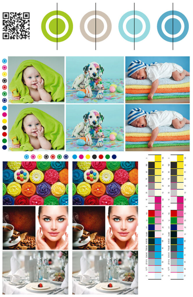 Imaging Engine | Raster Imager Processor (RIP) | Esko