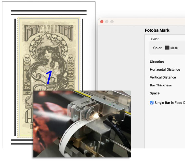 Esko 24.11 What's New