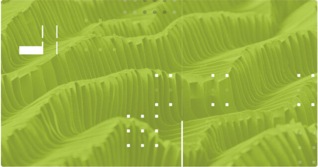 Sustainability in Packaging: Navigating the Trends and Challenges of 2025